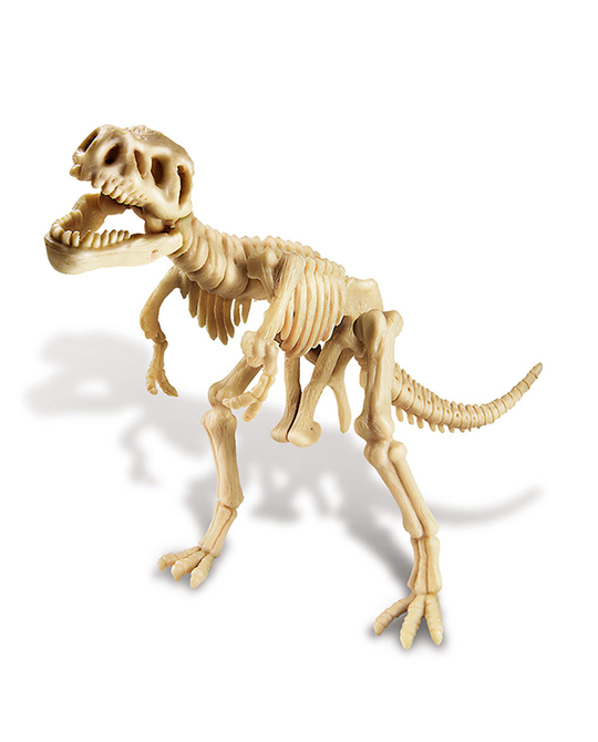 Dig A Tyrannosaurus Rex Skeleton Excavation Kit - Model Kits ...