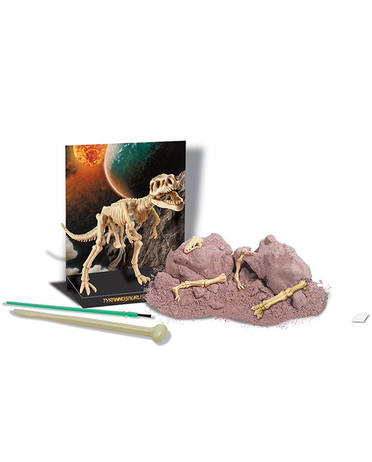 Dig A Tyrannosaurus Rex Skeleton Excavation Kit - Model Kits ...